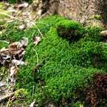 Agenda local - Radio Valois Multien